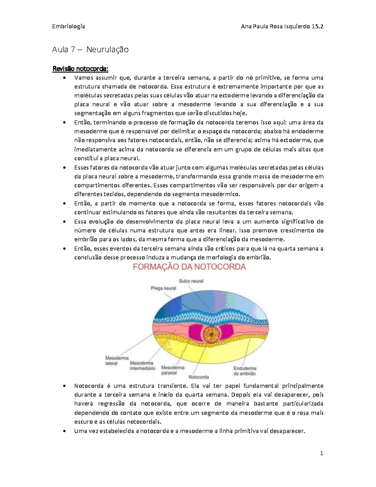Aula 7 - Neurulação - Resumo Histologia e Embriologia Comparada ...