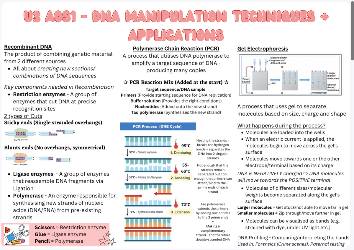 AOS1-manipulation techniques +application - Studocu