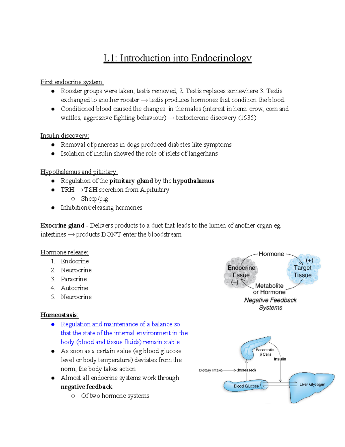 Endocrinology Summary - L1: Introduction into Endocrinology First ...
