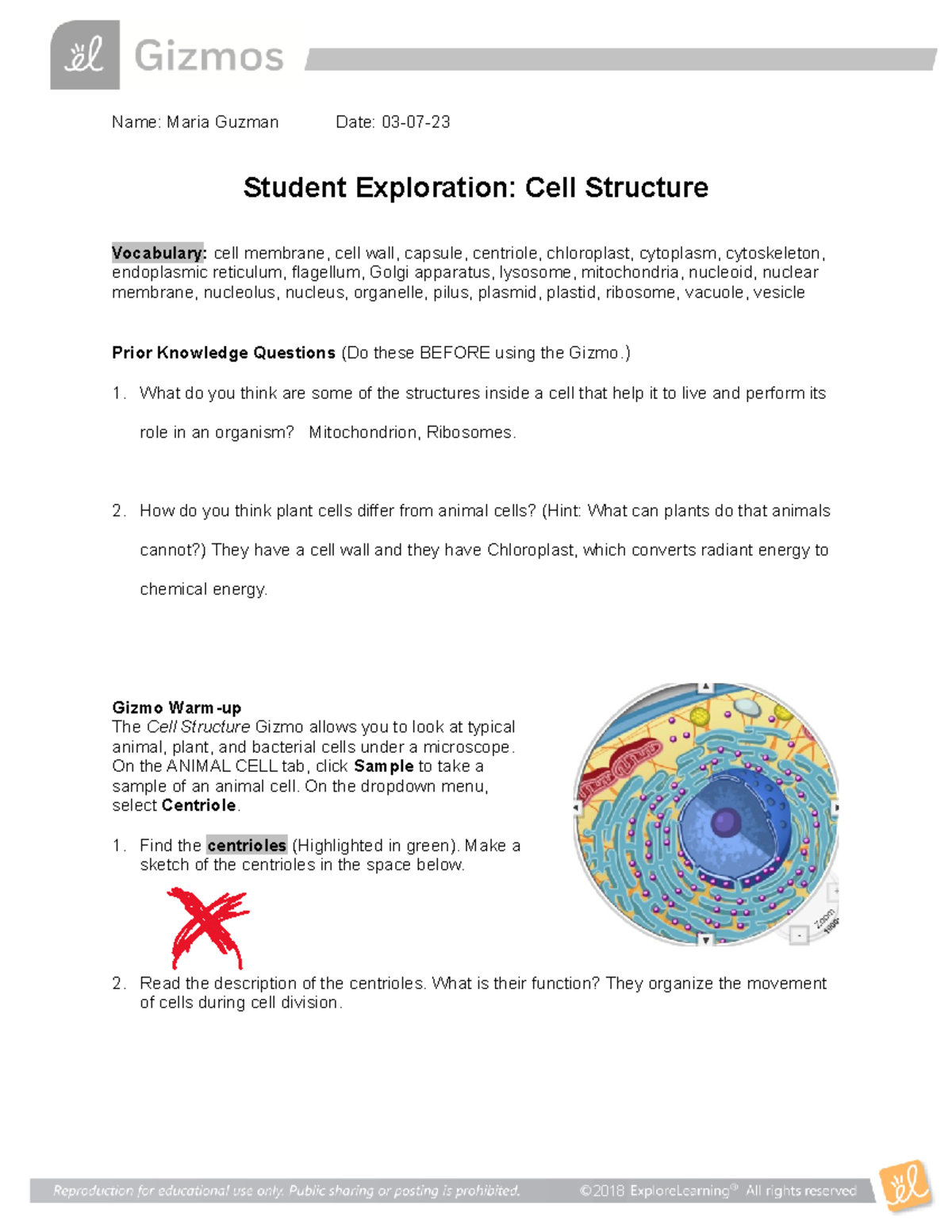 Cell Structure SE 2 - idk - Name: Maria Guzman Date: 03-07- Student ...