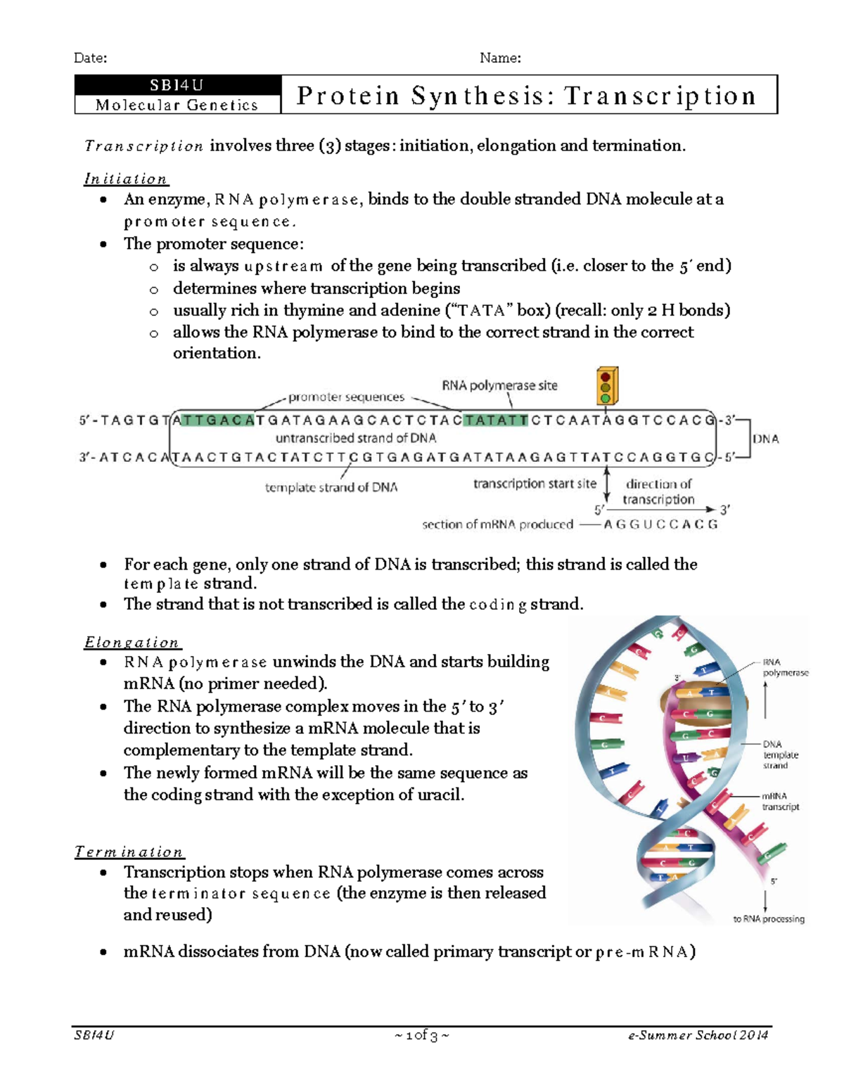 Definitions - Transcription - Date: Name: SBI4U ~ 1 of 3 ~ e-Summer ...