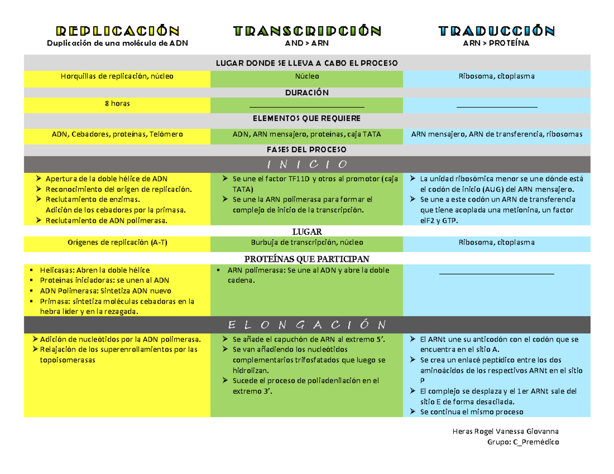 Hojas De Trabajo De Transcripción Y Traducción