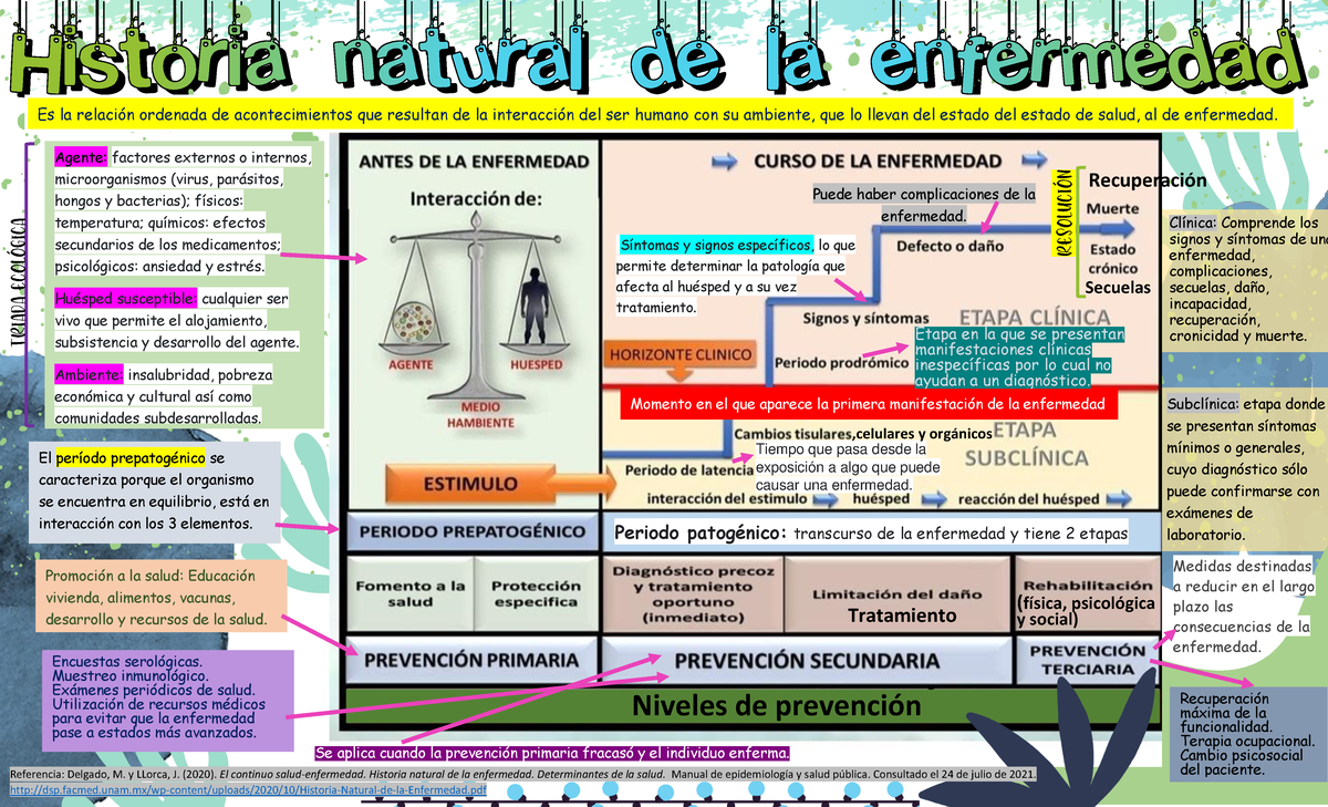 Historia natural de la enfermedad explicada - Historia natural de la ...
