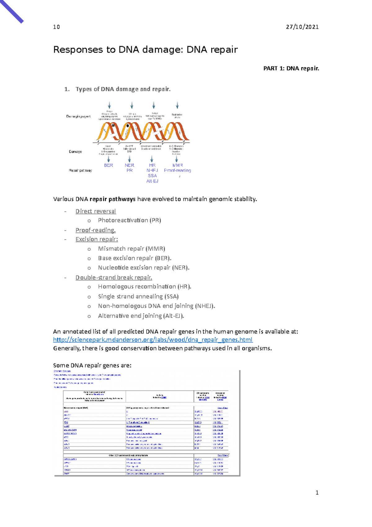 Responses to DNA damage: DNA repair - 1. Types of DNA damage and repair ...