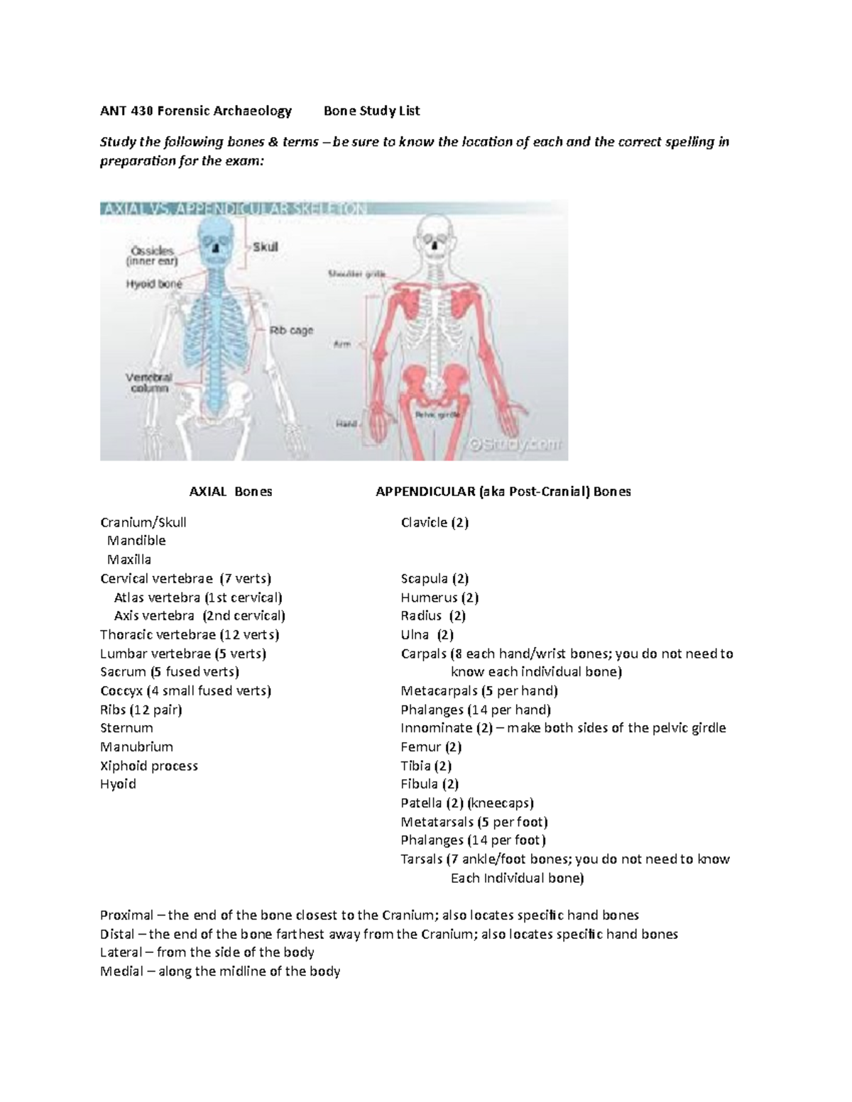 BONE Study LIST-Midterm 2022 - ANT 430 Forensic Archaeology Bone Study ...