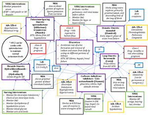 Medications Oxycodone - ACTIVE LEARNING TEMPLATES THERAPEUTIC PROCEDURE ...