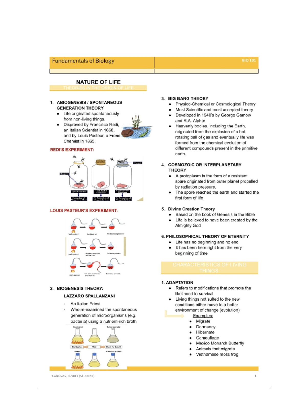 Bio - hhhhhh - Fundamentals of Biology BIO 101 NATURE OF LIFE THEORIES ...