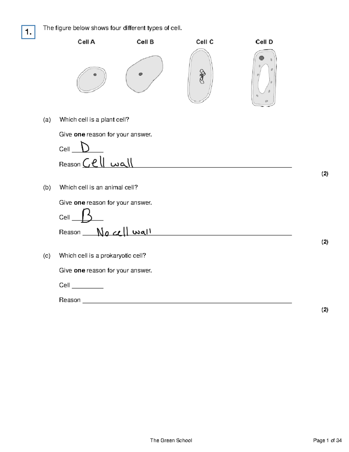 Print - The figure below shows four different types of cell. 1. (a ...