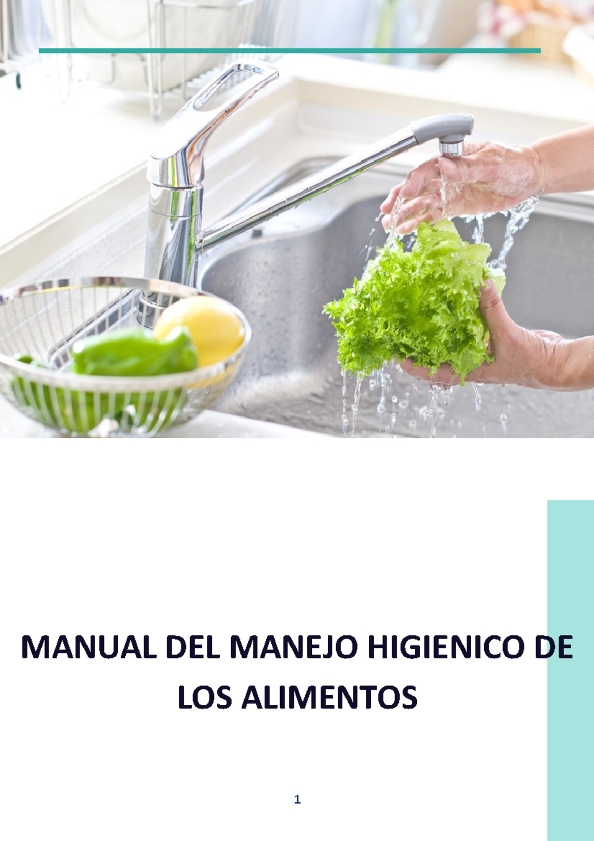 Manual de higiene - MANUAL DEL MANEJO HIGIENICO DE LOS ALIMENTOS ÍNDICE ...