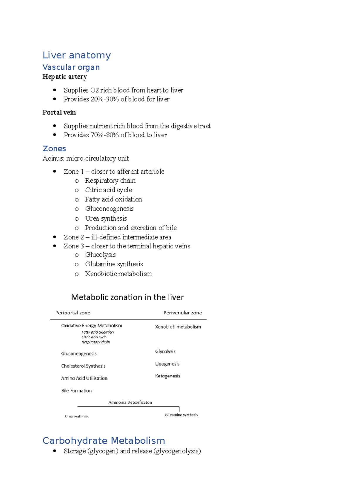 Liver metabolism - Lecture notes - Liver anatomy Vascular organ Hepatic ...