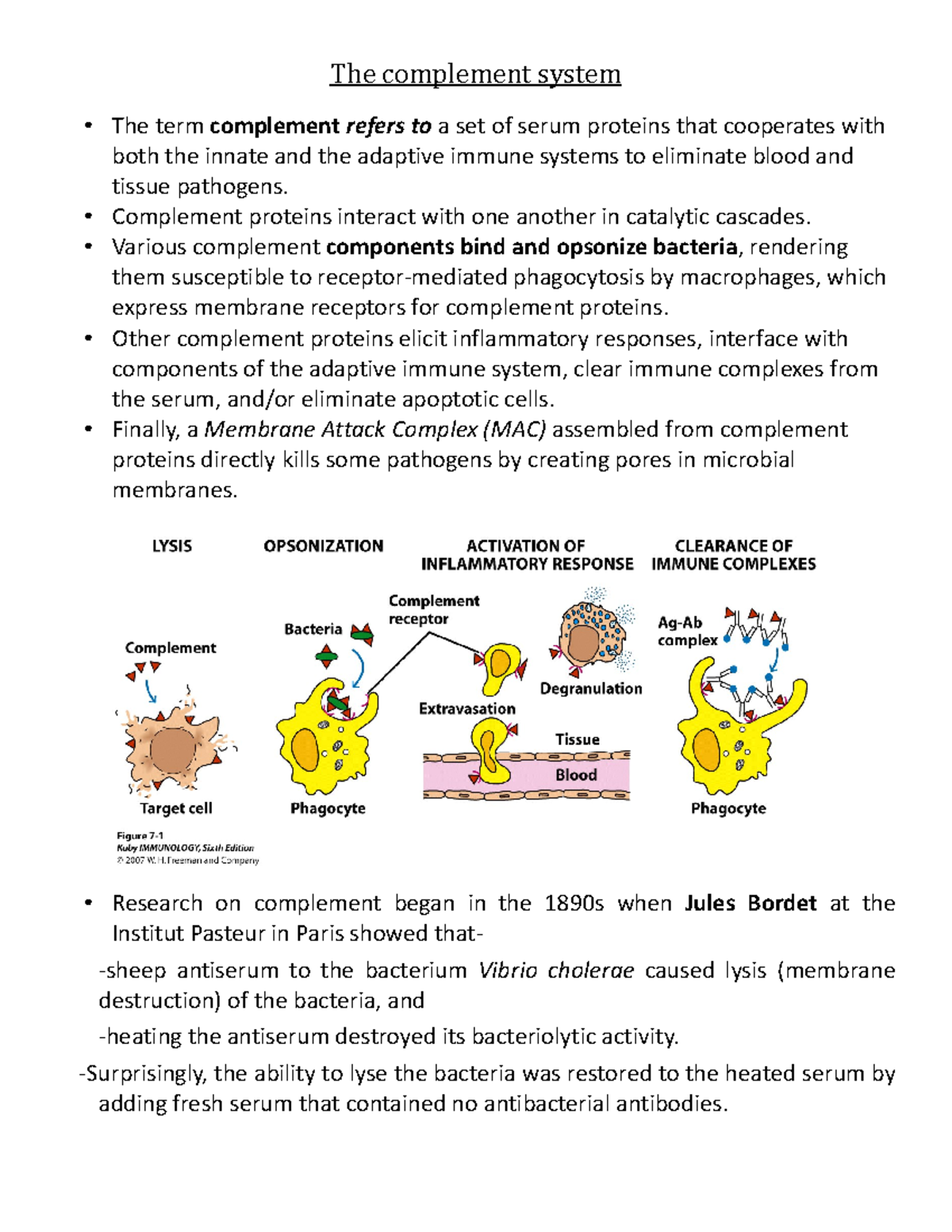 The complement system - Immunology and Immunotechnology. - The complement system The term ...