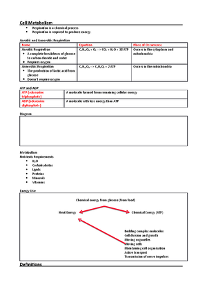 Module 6 Urinary System Notes - HUMB NOTES MODULE 6 The right kidney is ...