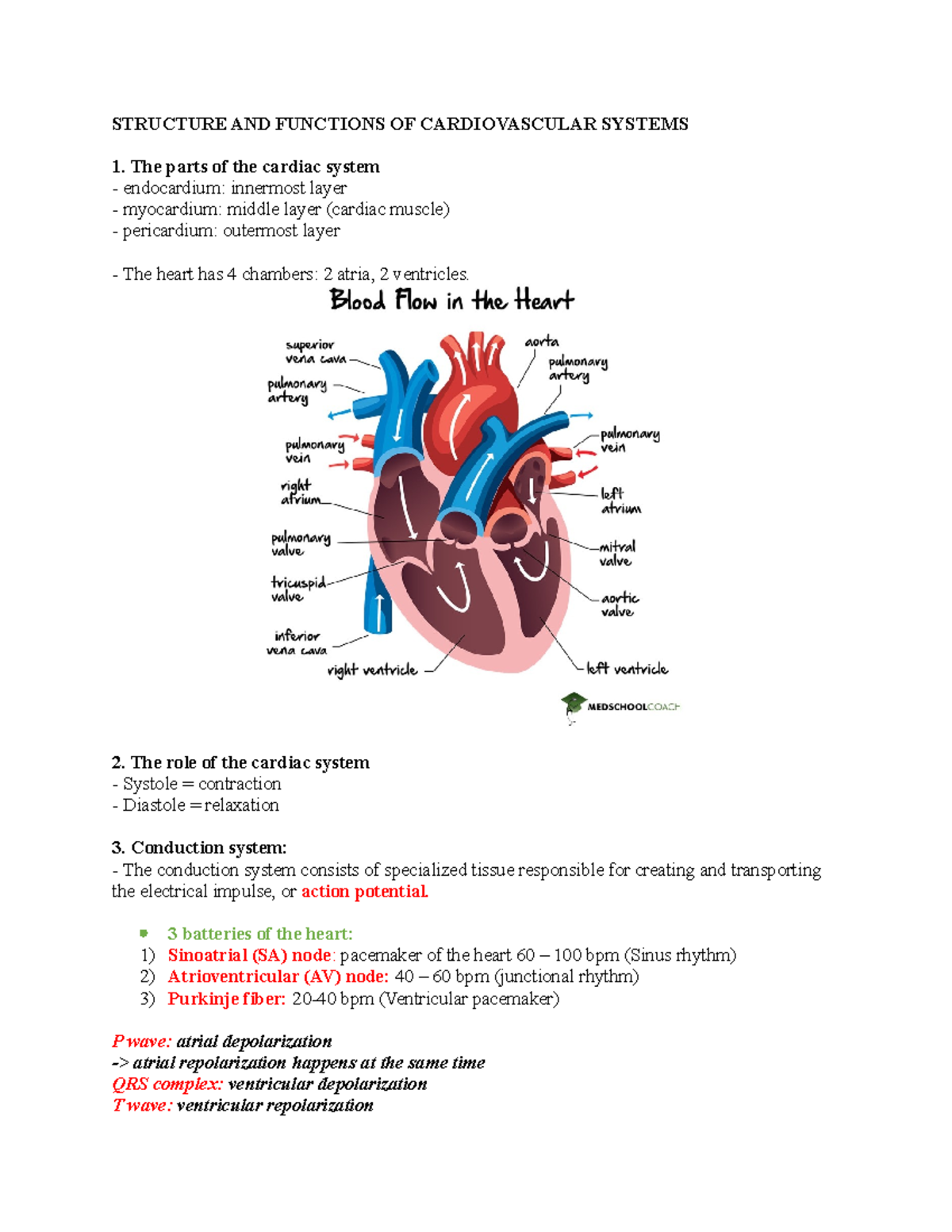 Assessment of Cardiovascular system - STRUCTURE AND FUNCTIONS OF ...