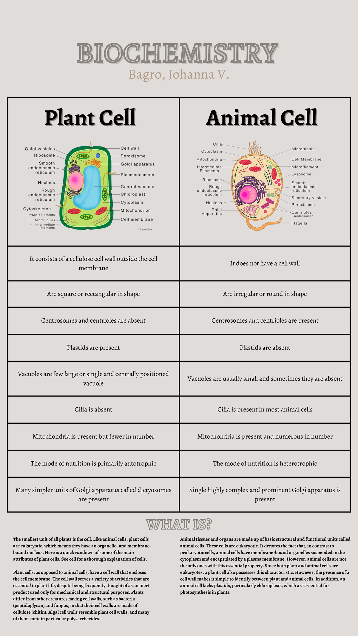 Biochemistry-CELL - BIOCHEM - It consists of a cellulose cell wall ...