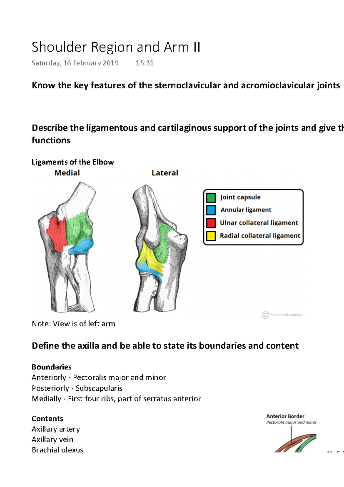 Shoulder Region and Arm II - Know the key features of the ...