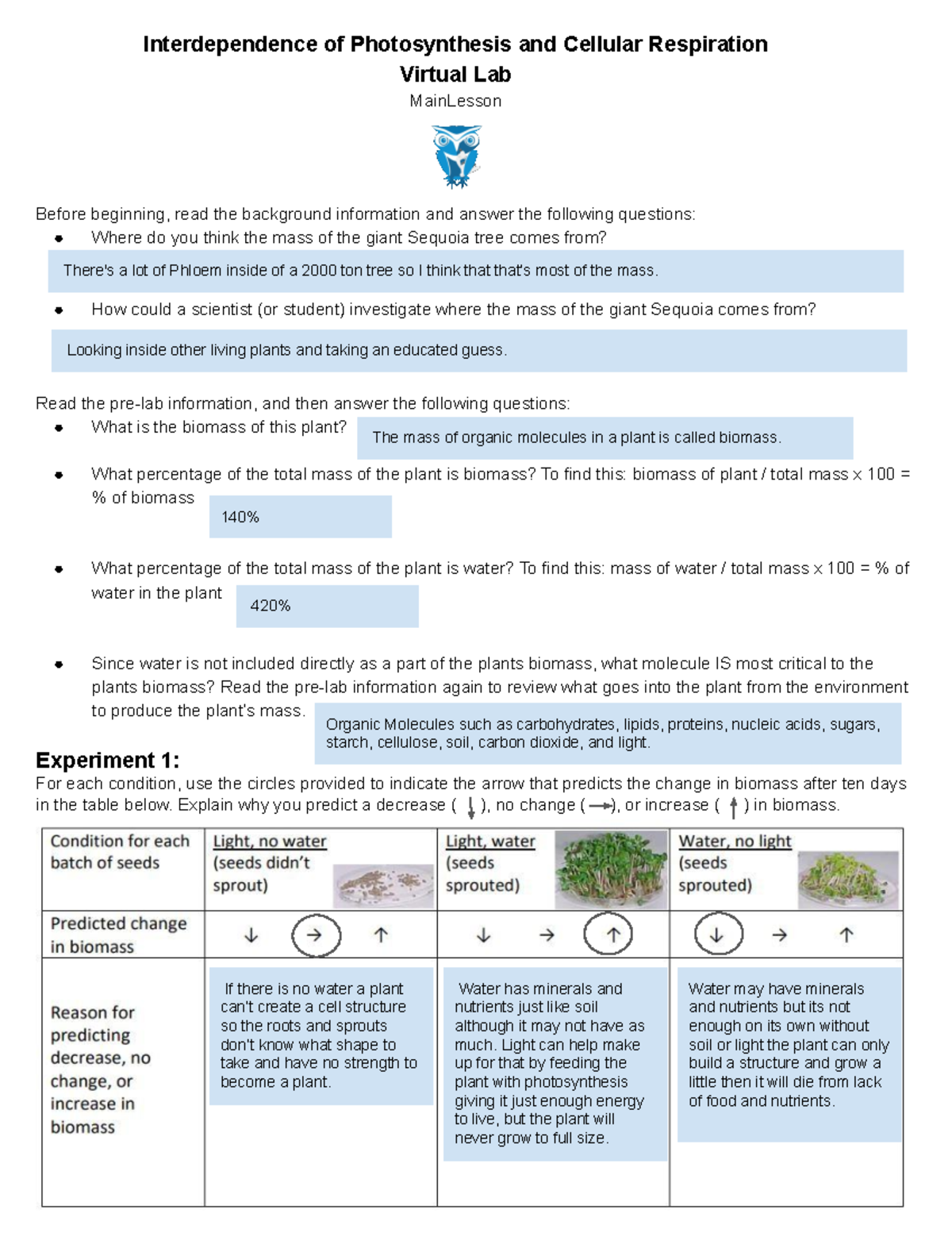 Photosynthesis and Cellular Respiration Virtual Lab - Interdependence ...