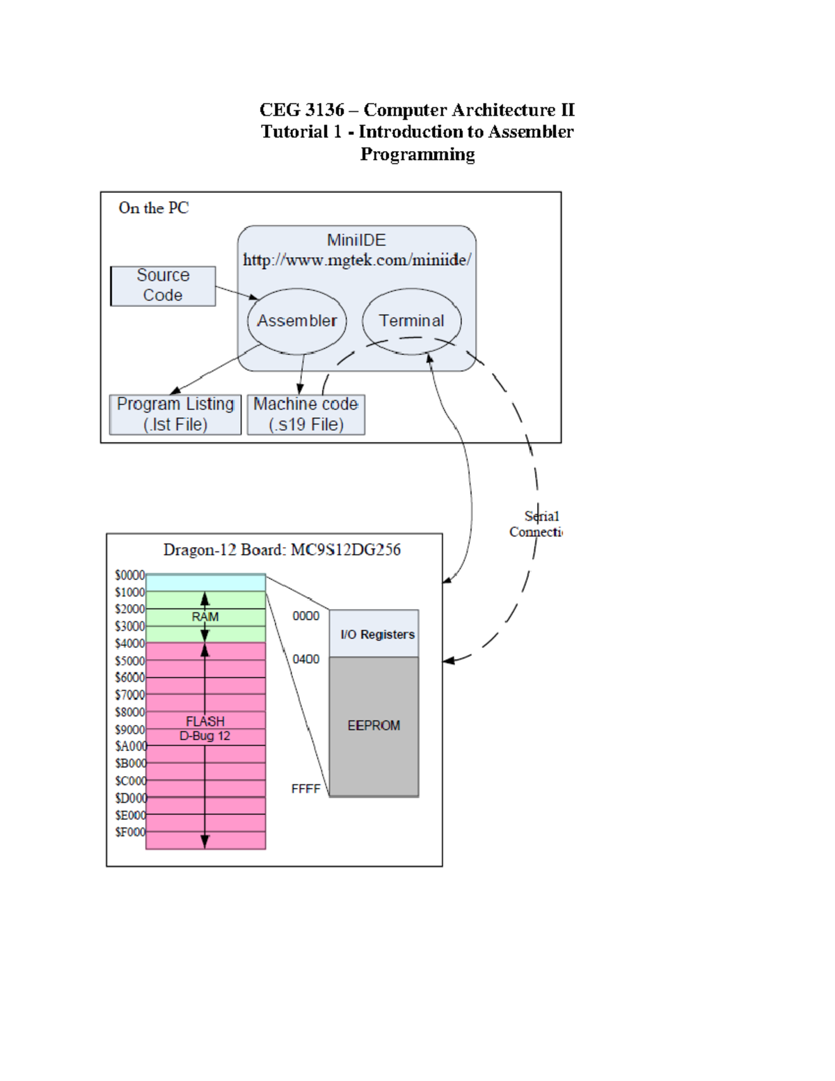 CEG3136 Tutorial 1 - CEG 313 6 – Computer Architecture II Tutorial 1 - Introduction to Assembler ...