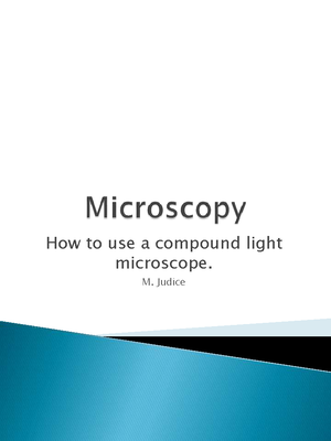 Lab Practical 1 Study Guide - BIOLOGY 101 PRACTICAL #1 REVIEW SHEET Lab ...