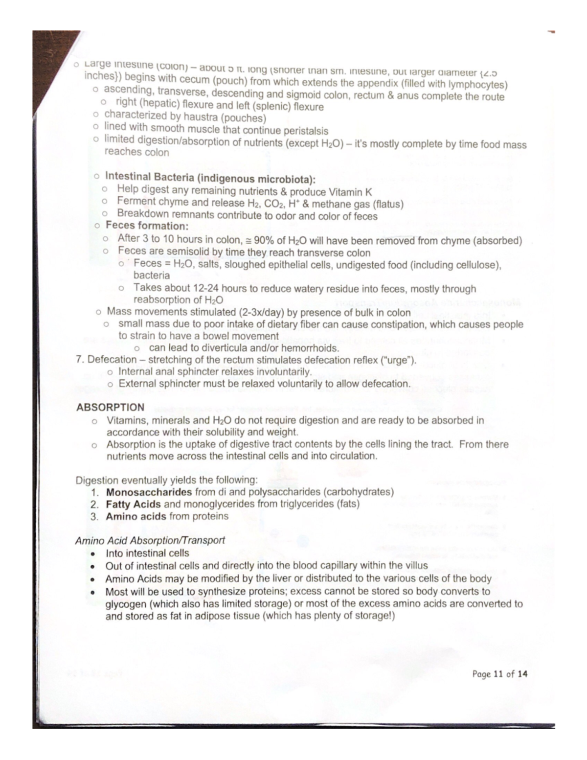 Large intestine - long (snorter than sm. intestine, out larger aiameter ...