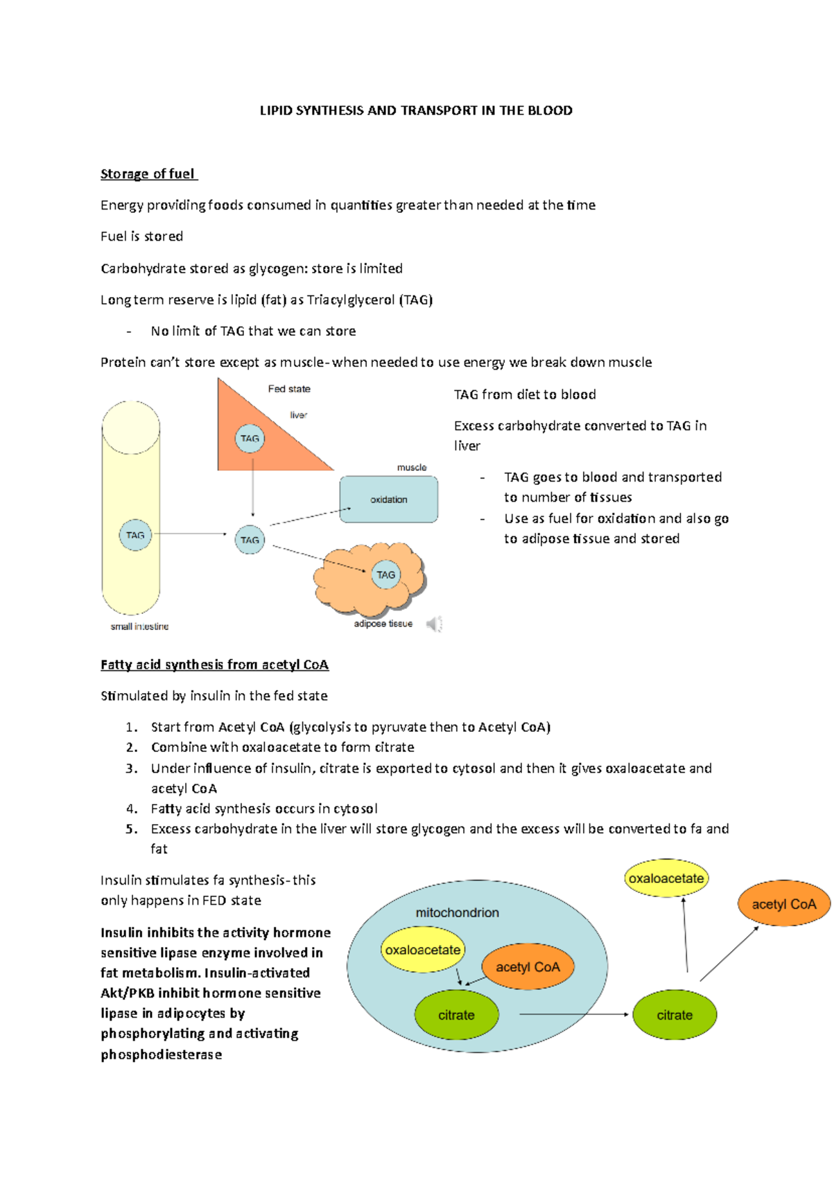 Lipid Synthesis AND Transport IN THE Blood - LIPID SYNTHESIS AND ...