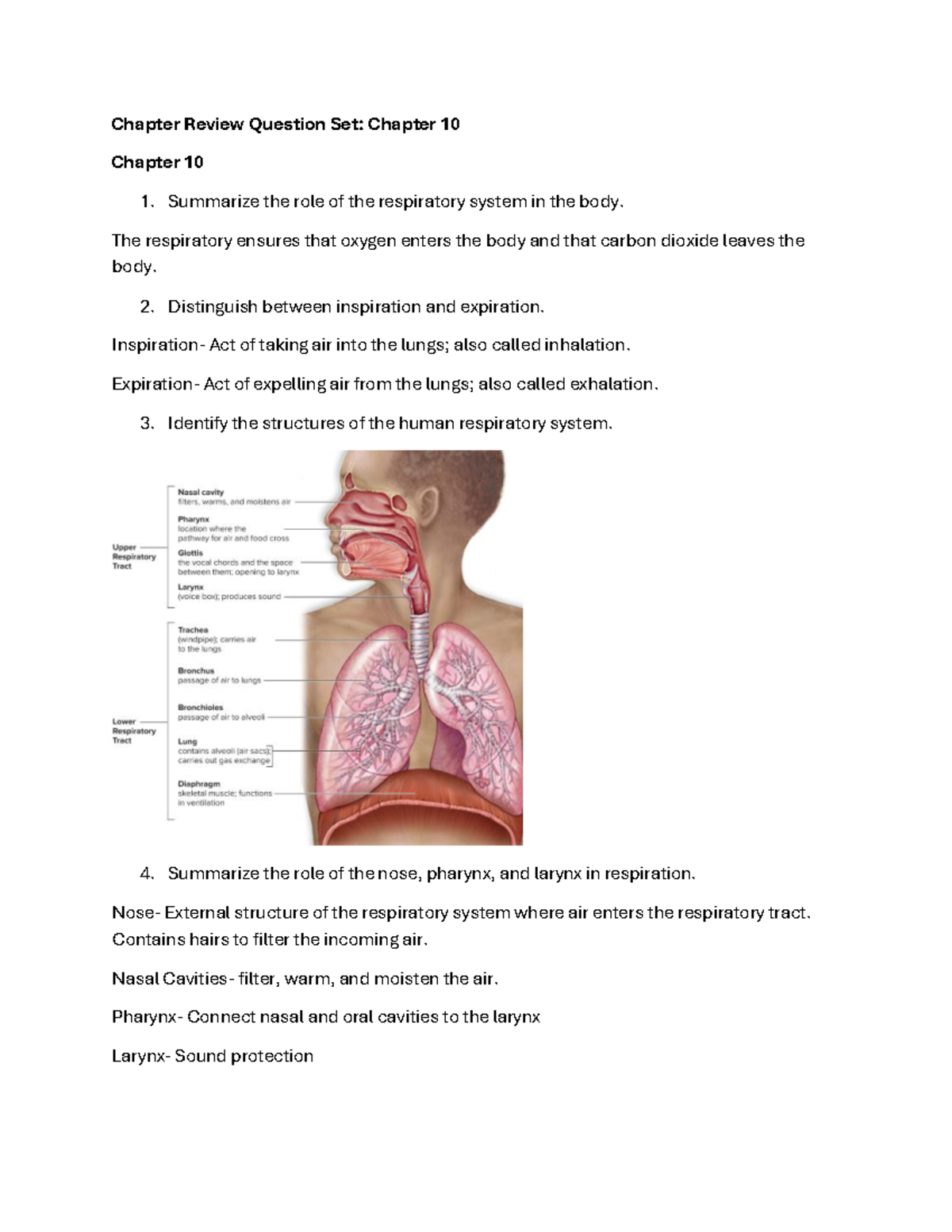 BIOL 127 Chapter 10 Review Question Set - Chapter Review Question Set ...