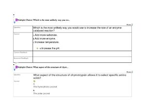 Practical Report Example Script - SBIA031 - Studocu