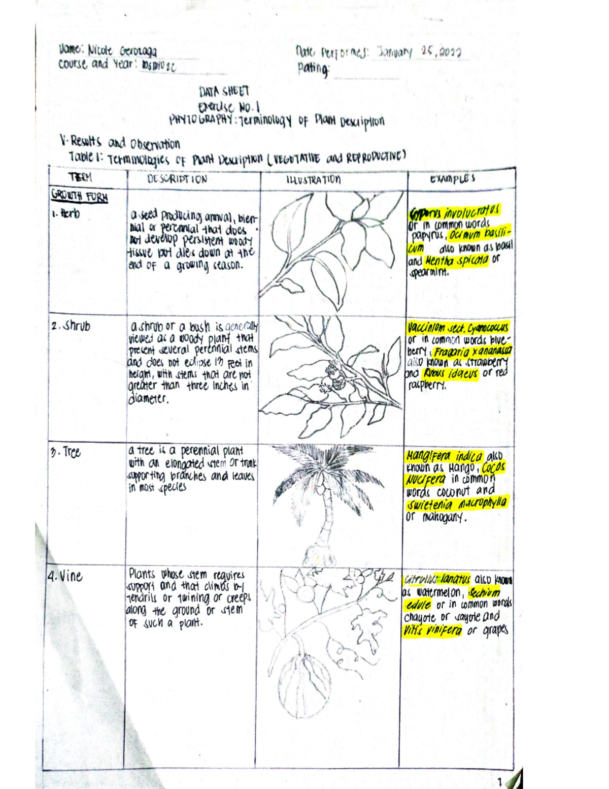 Exercise 1 Phytography - General Biology - Studocu