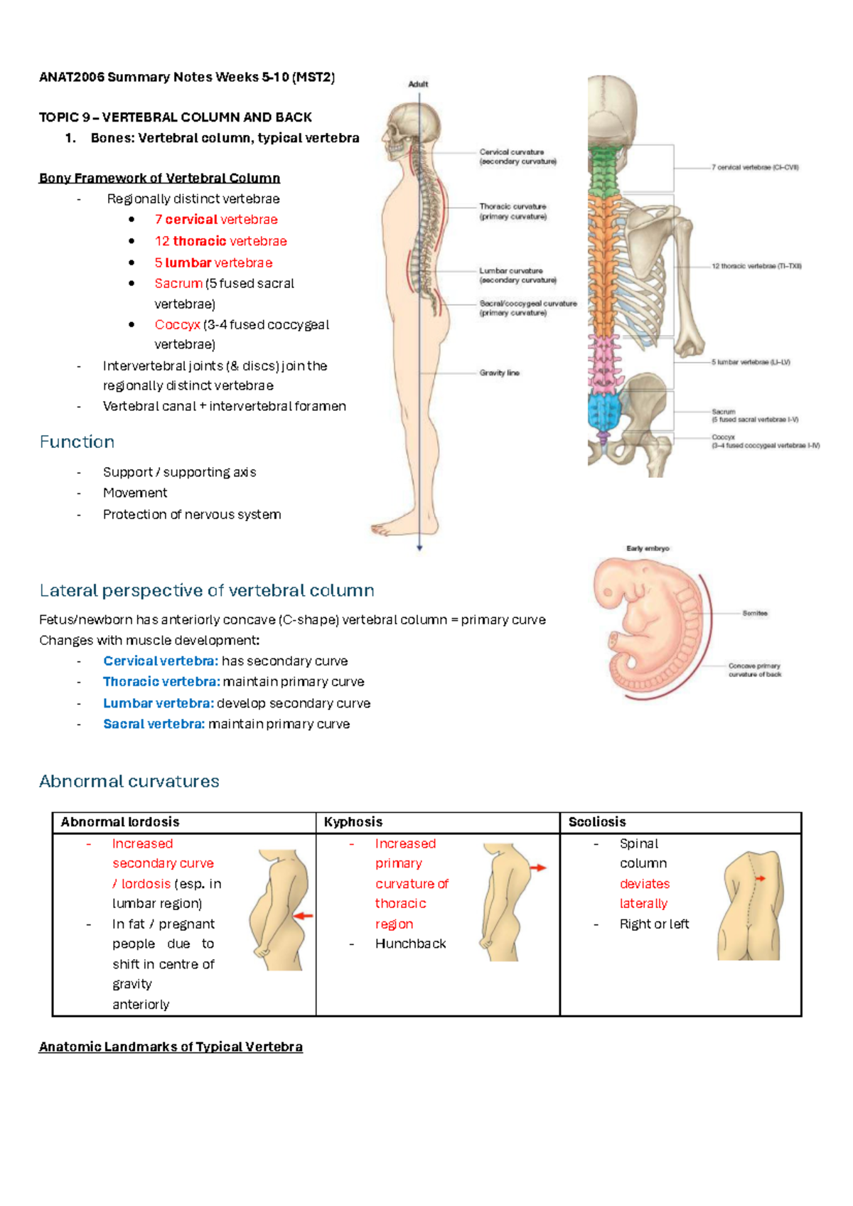 ANAT2006 Vertebral Column and Back Summary Notes - ANAT2006 Summary ...