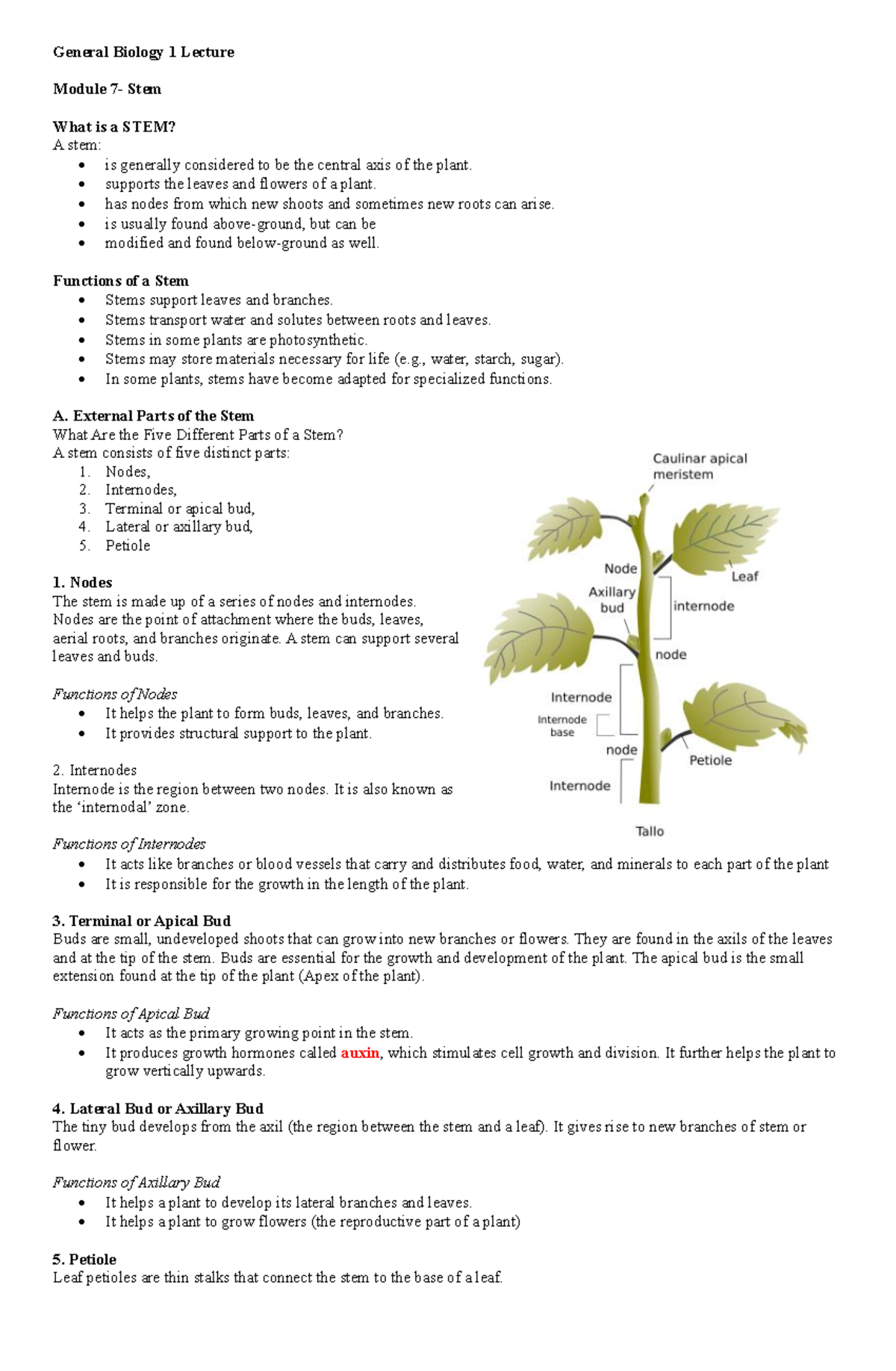 Module Stem Lecture Note - General Biology 1 Lecture Module 7- Stem What is a STEM? A stem: - is ...