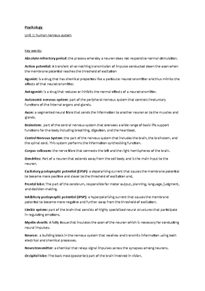 PYC1501 Unit 4 Memory OER - Unit 4 : Memory Learning objectives This learning unit will help you ...