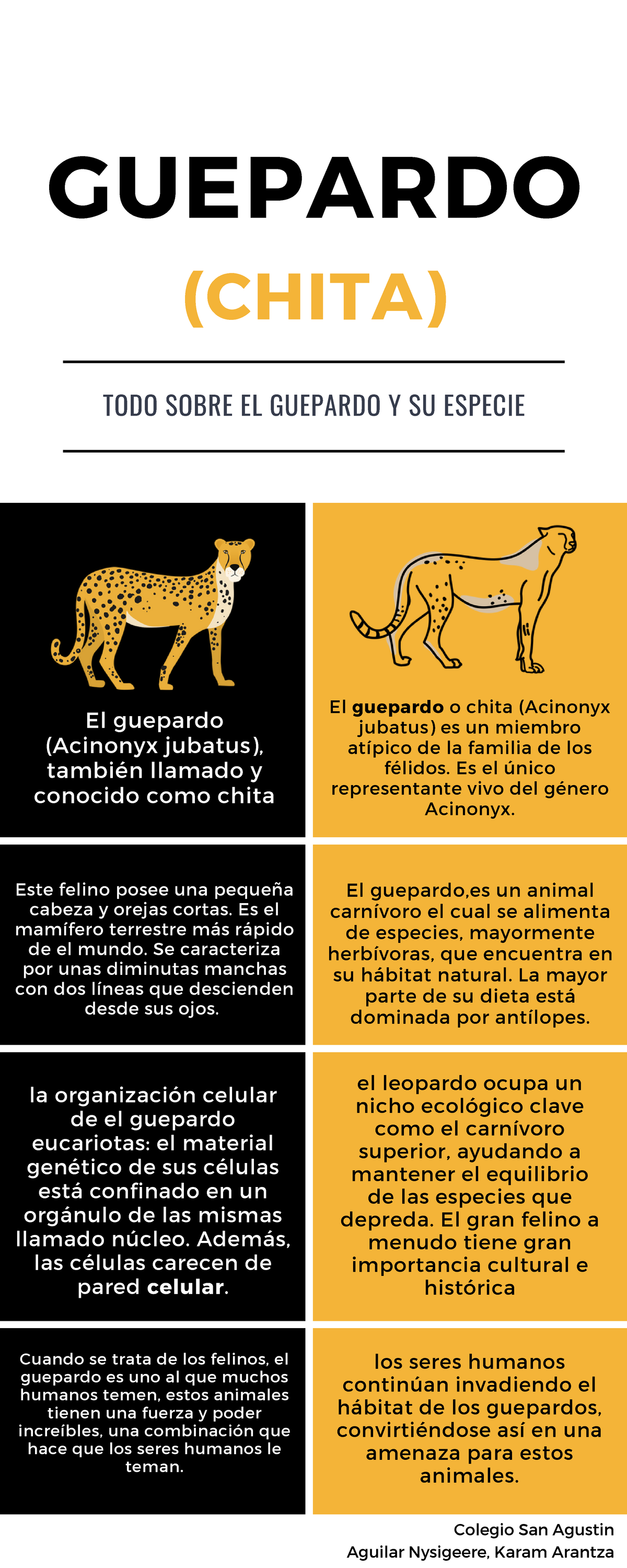 Guepardo - GUEPARDO (CHITA) El guepardo (Acinonyx jubatus), también ...