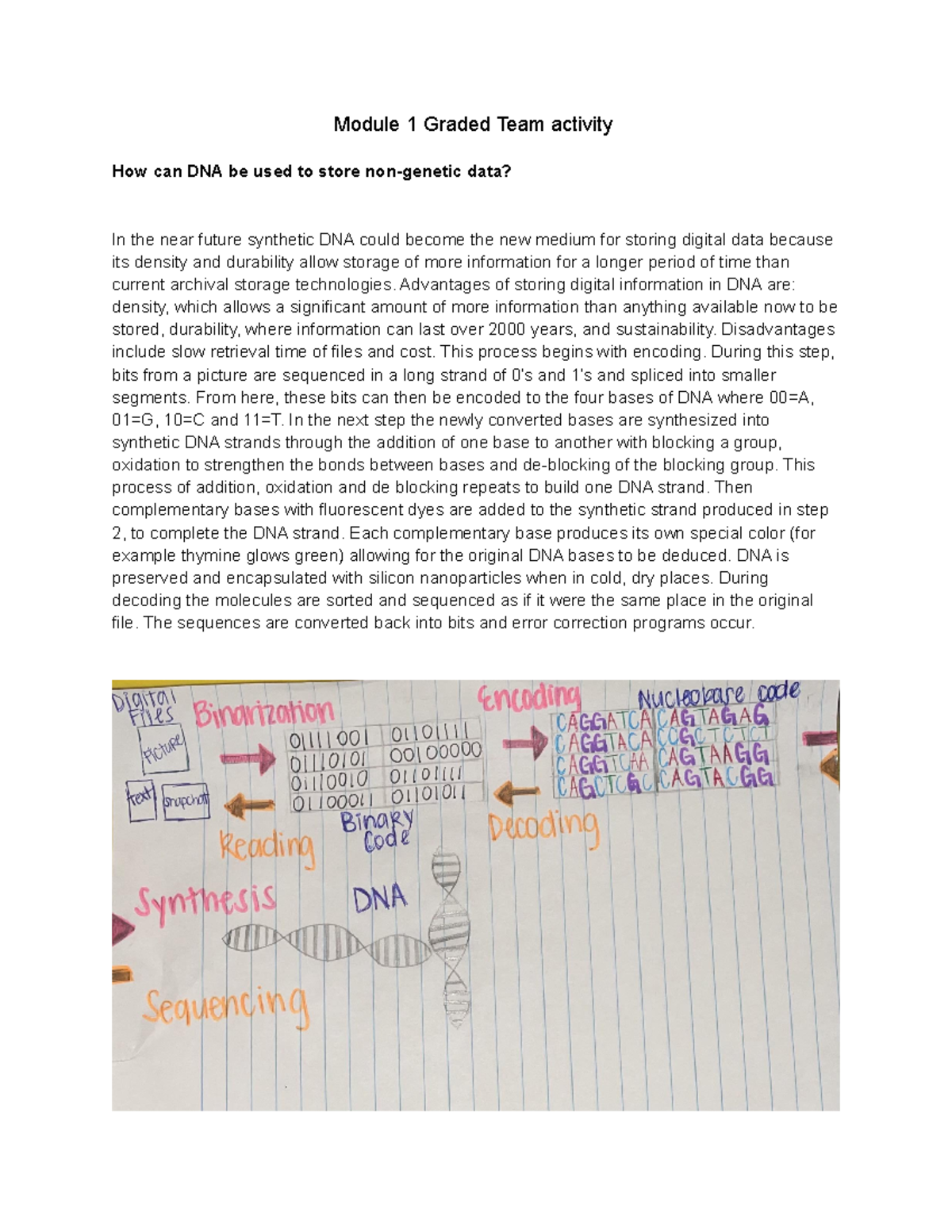 Bio 312-Module 1 Graded Activity - BIOL 312 - CofC - Studocu