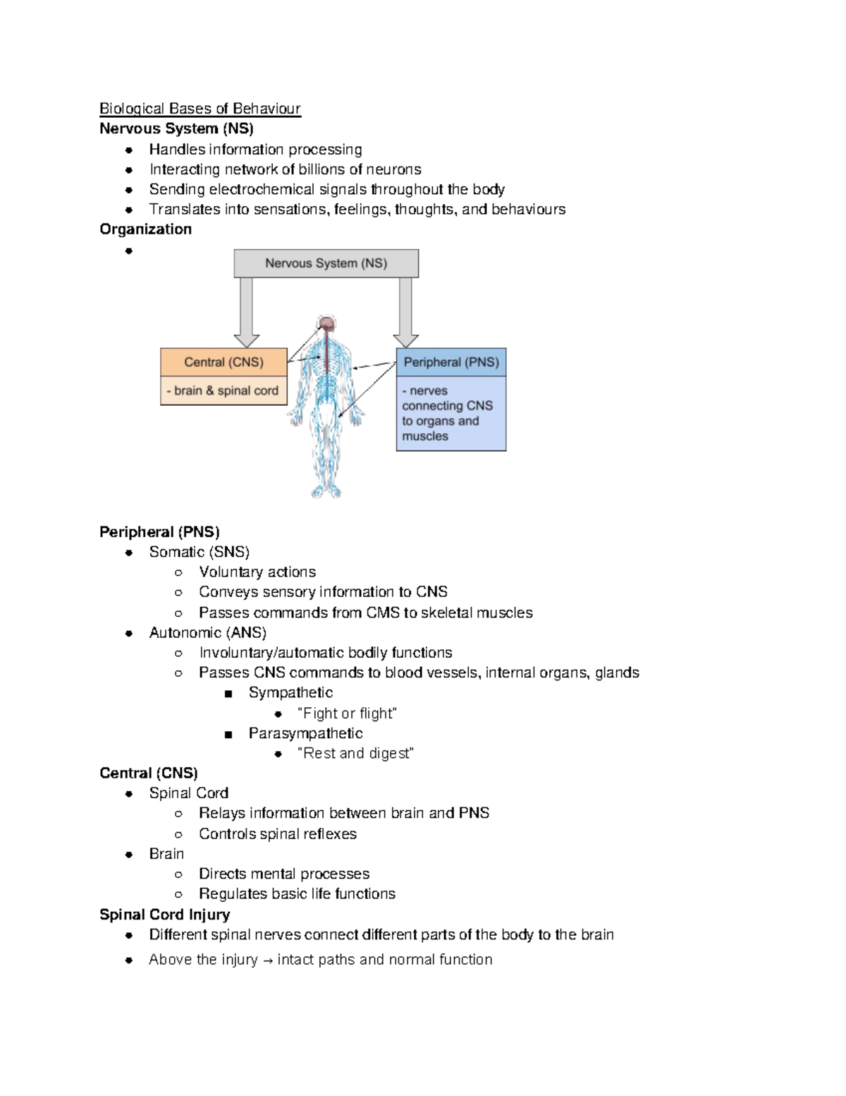 Lecture #4 - Oct 7 - Introduction to Psychology I - Biological Bases of ...
