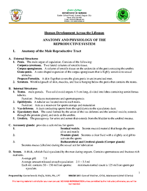 Traumatic Injury First Aid Measures - Algorithm for 10 Steps To ...