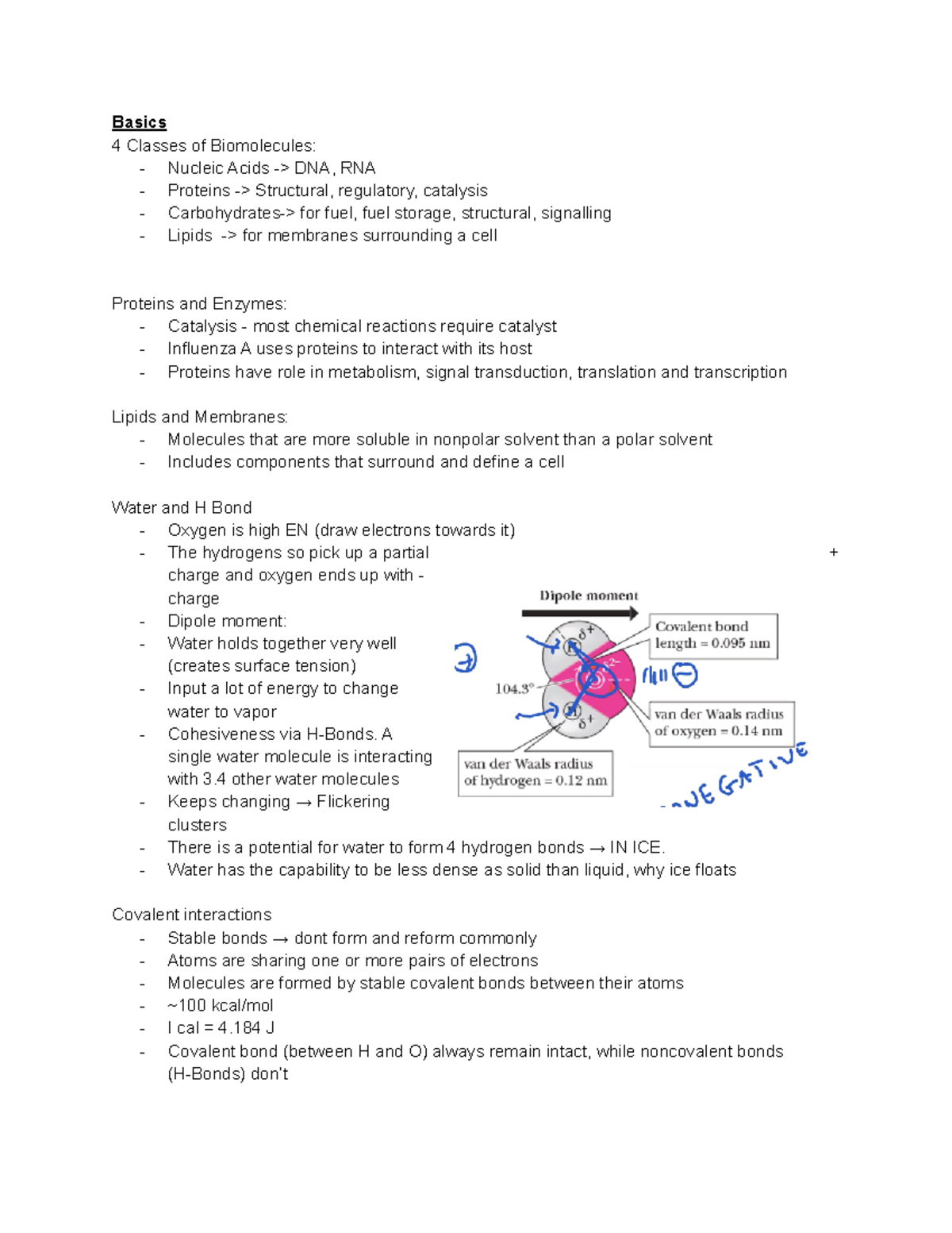 BIOC 299 - Lec notes - Basics 4 Classes of Biomolecules: - Nucleic ...