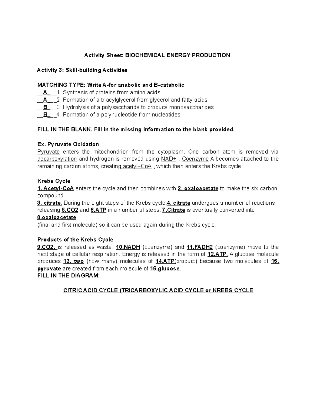 Activity Sheet Biochemical Energy Production - Activity Sheet ...