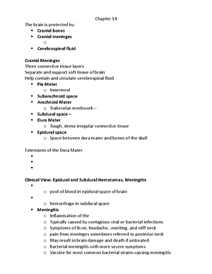 Ch. 1 Lecture Outline - Chapter 1 The Human Body: An Orientation 1 Form and Function of Anatomy ...
