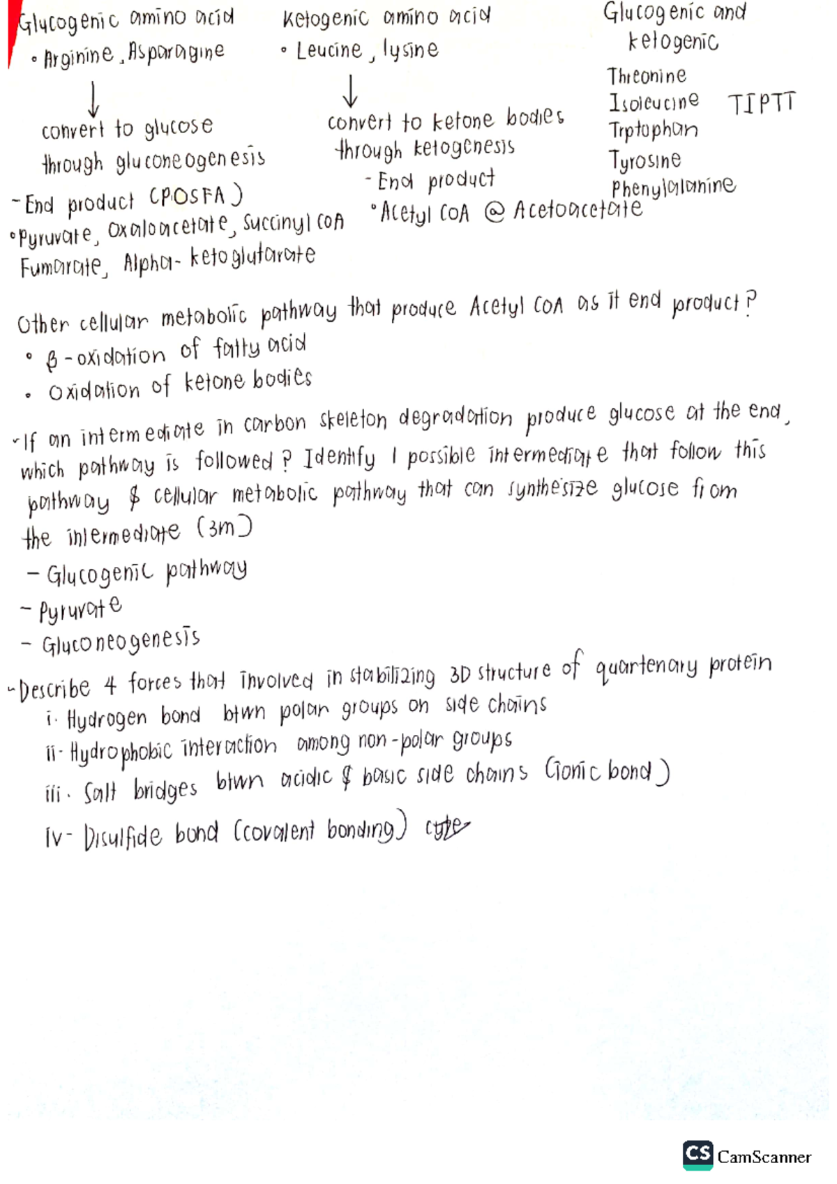 Biokimia Revision PART 6 - CamScanner CamScanner - Studocu