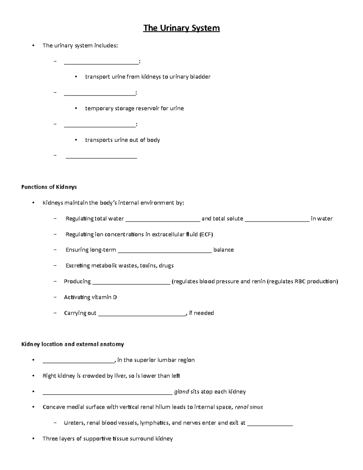 The Urinary System-2 - fill in the blank - The Urinary System The ...