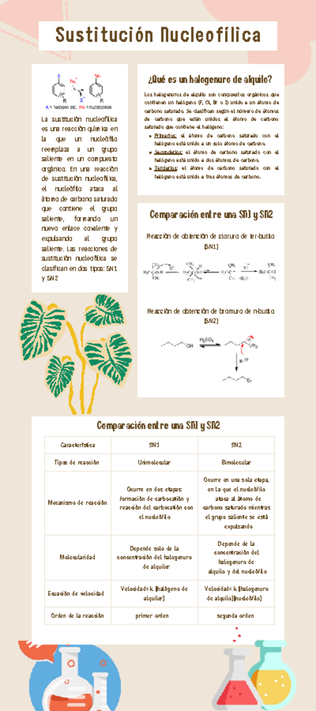 Reacción Sn1 y Sn2 - Infografía - Característica SN1 SN Tipos de ...