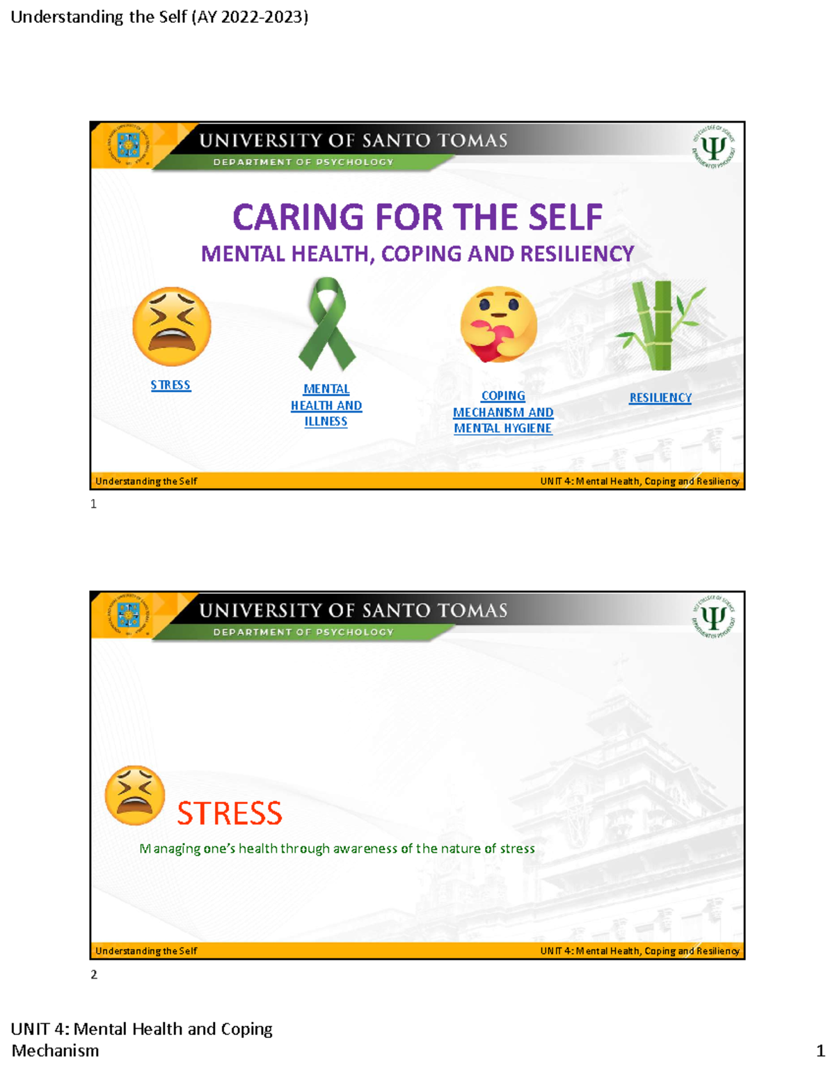 Unit 4 (Handouts) - description - UNIT 4: Mental Health and Coping ...