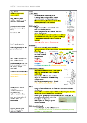 Promoter Recognition 1 - MGE 01- Core Promoter Architecture Key Points ...