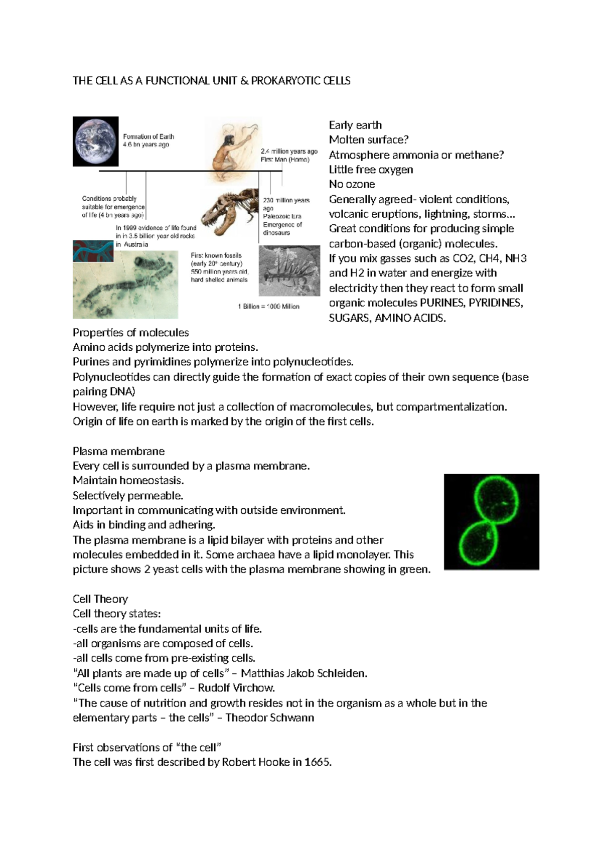 THE CELL AS A Functional UNIT - THE CELL AS A FUNCTIONAL UNIT ...