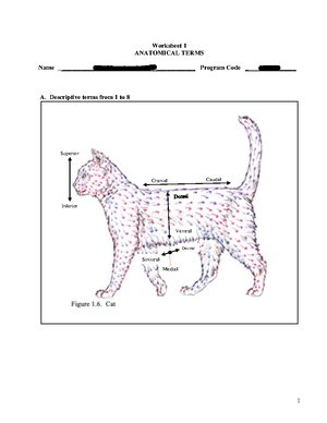 Digestive System OF CAT(2) - Section: BIO42 Name: Da Costa Pinto ...