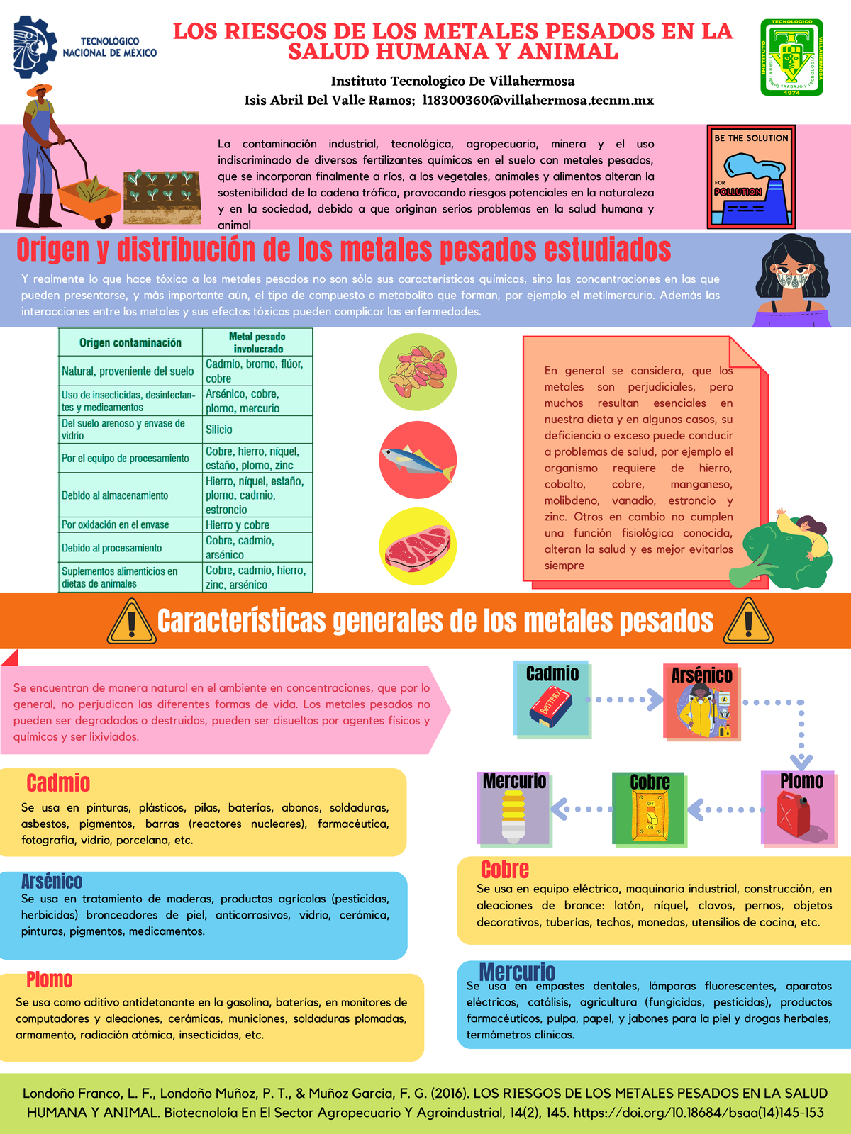 LOS Riesgos DE LOS Metales Pesados EN LA Salud Humana Y Animal ...