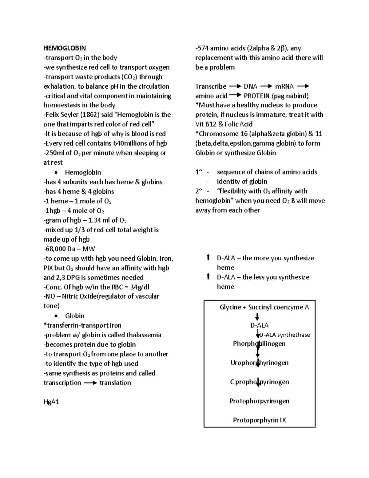 Hemoglobin - Lecture notes 5 - HEMOGLOBIN O2 in the body synthesize red ...