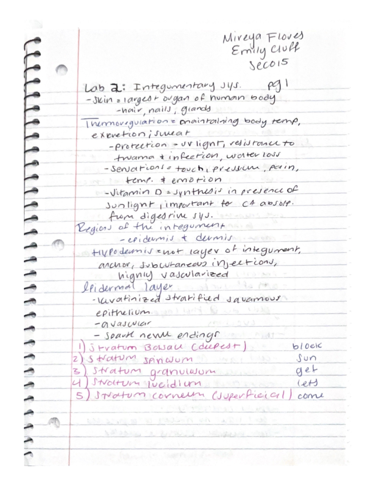 Integumentary System Intro - Mireya Floves Emily cluff secois Lab 2 ...