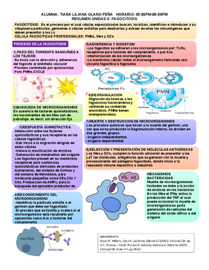 05 La respuesta inmune adaptativa en el espacio y el tiempo - KUBY. Inmunología, 8e CAPÍTULO 14 ...