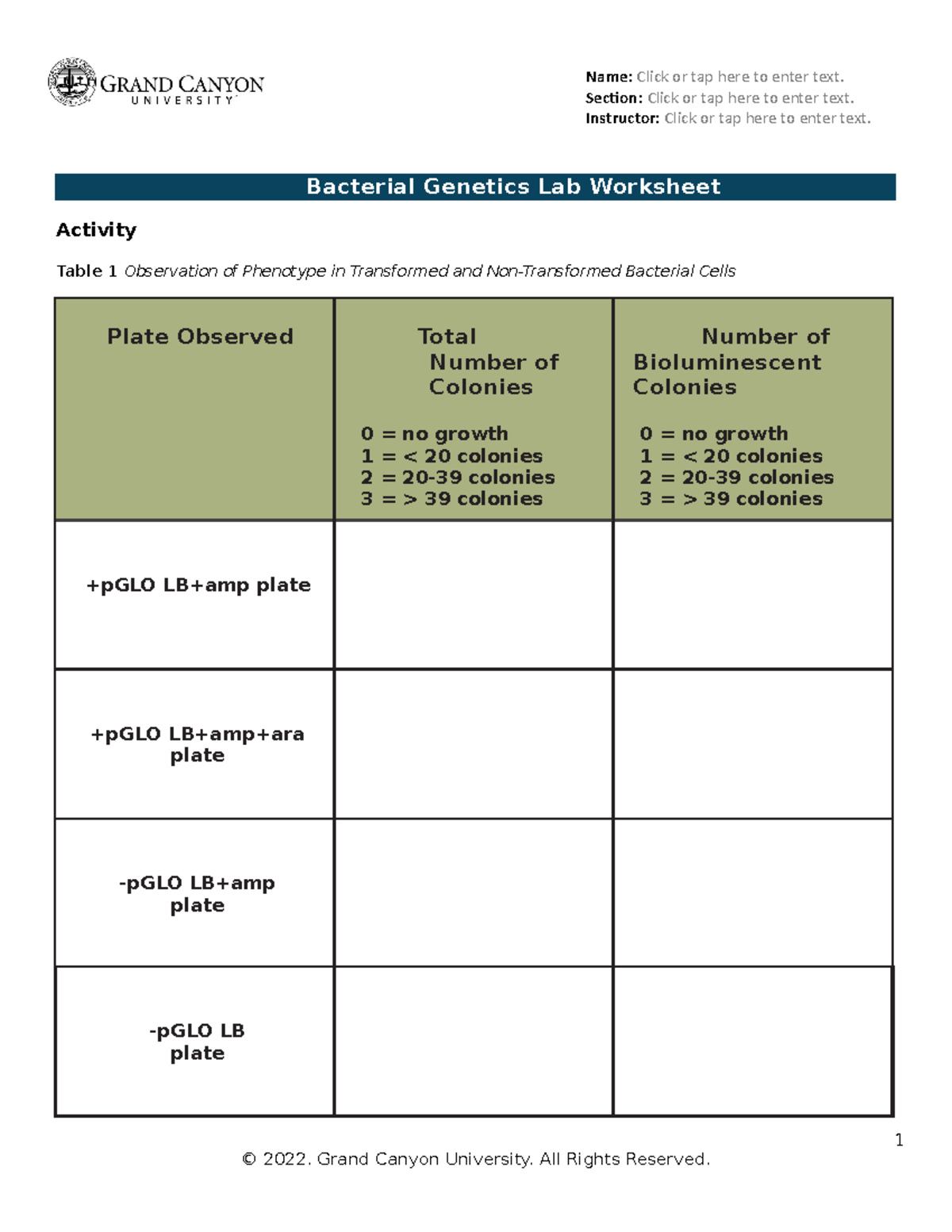 Bacterial genetics -worksheet - Section: Click or tap here to enter ...