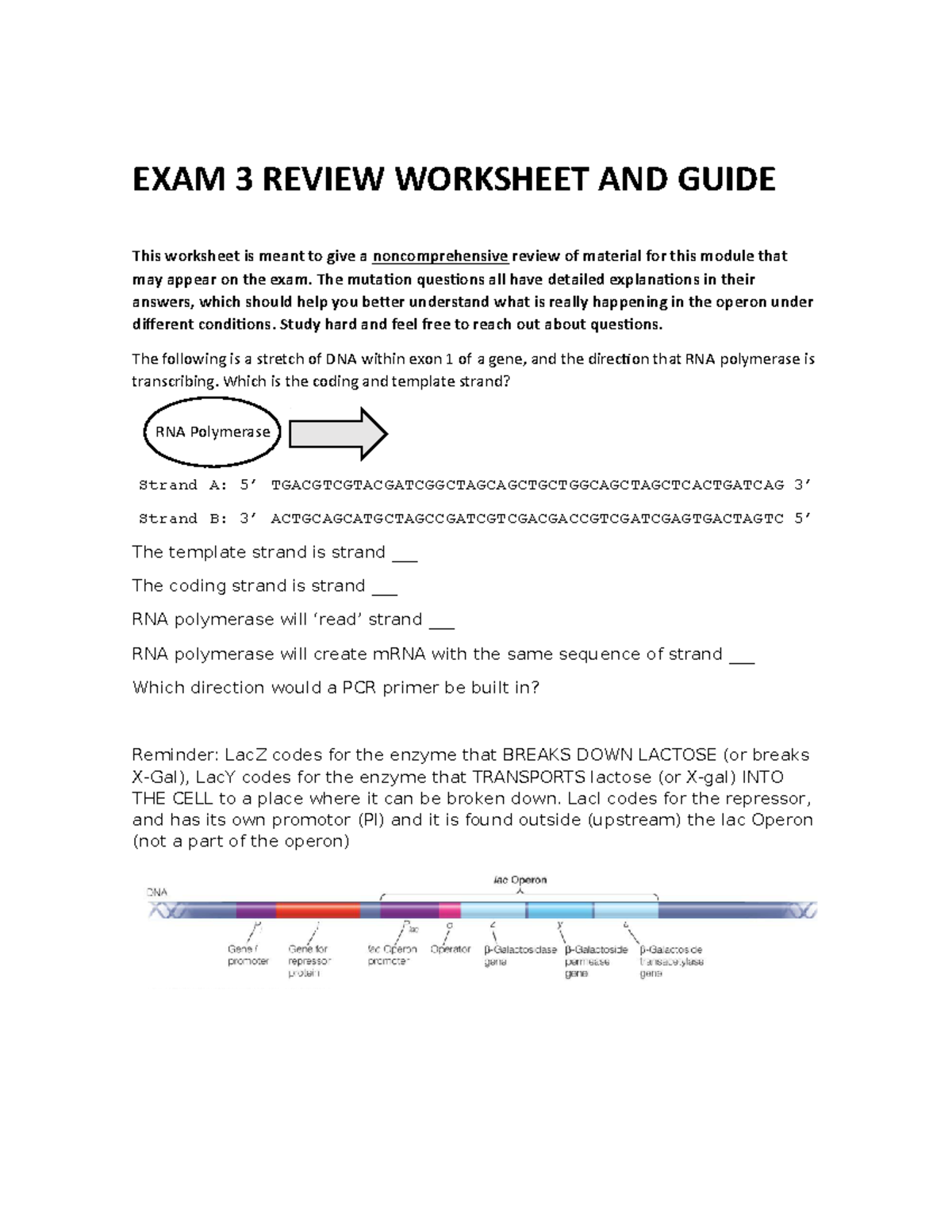 Module 3 exam review worksheeet Blank - EXAM 3 REVIEW WORKSHEET AND ...